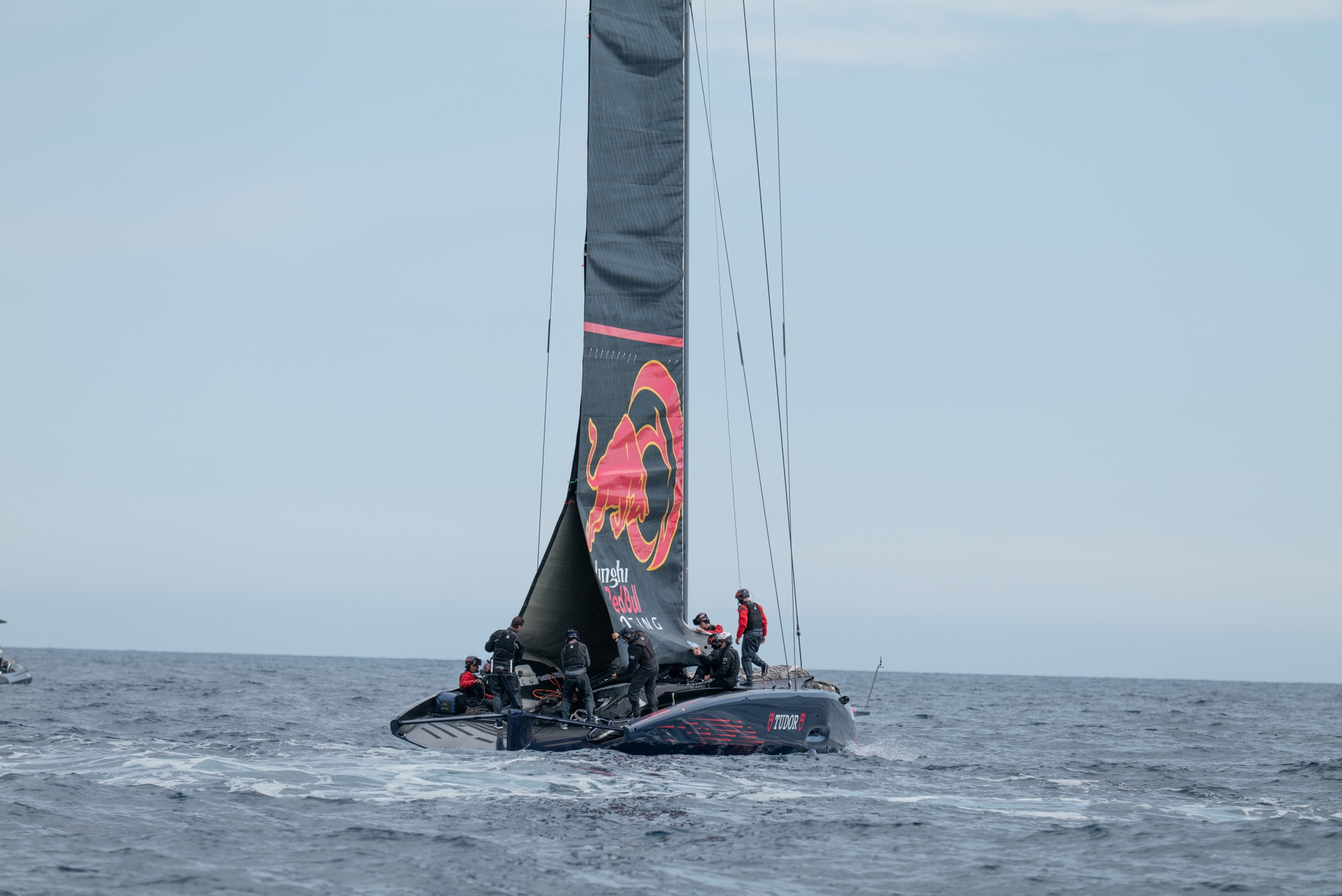 LIGHT WEATHER BULL - 37th America's Cup