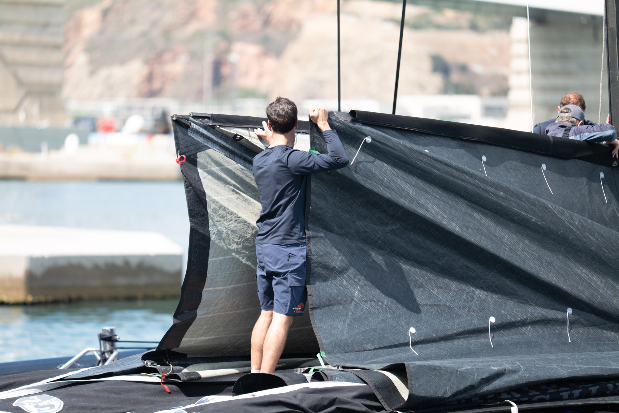 LIGHT WEATHER BULL - 37th America's Cup