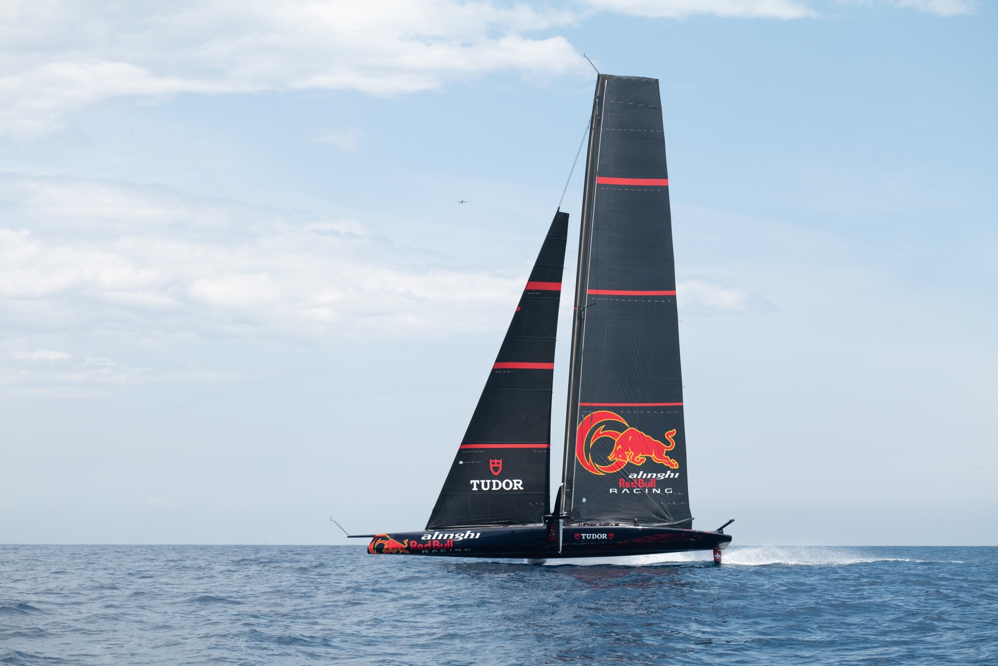 LIGHT WEATHER BULL - 37th America's Cup